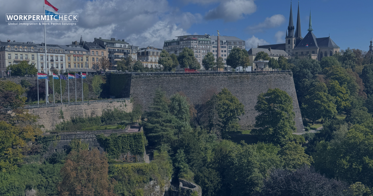 What is the MVV Visa in the Netherlands?